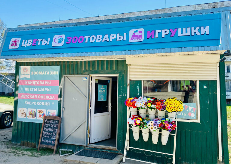 Çiçekçiler TomTomich and Gerbera, Moskova ve Moskovskaya oblastı, foto