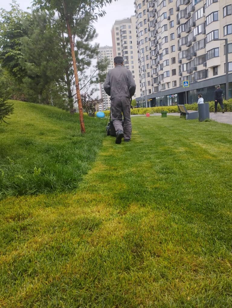 Şehir planlama Drevopark, Tulskaya oblastı, foto