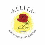 Aelita (Sovetskaya ulitsa No:79), çiçekçiler  Nikolsk'tan