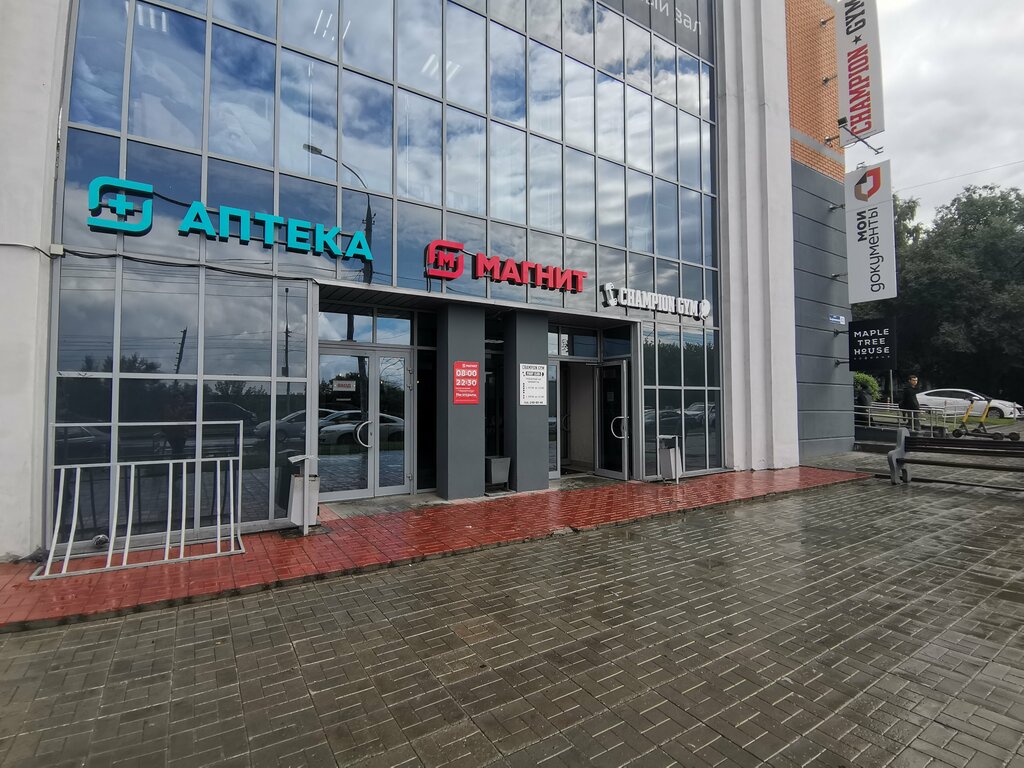 Pasta, şekerleme ve tatlı Maple Tree House, Novosibirsk, foto