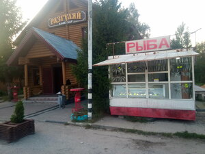 Разгуляй (Nizhniy Novgorod Region, 22N-4533), kafe  Nijegorodskaya oblastından