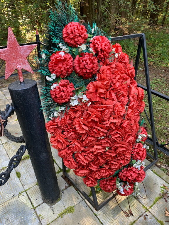 Anıt, heykel В.С. Балмат, Moskova ve Moskovskaya oblastı, foto