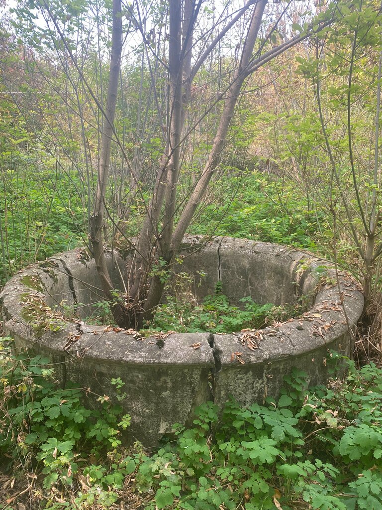 Turistik yerler Руины усадьбы Яновых, Novoçerkassk, foto