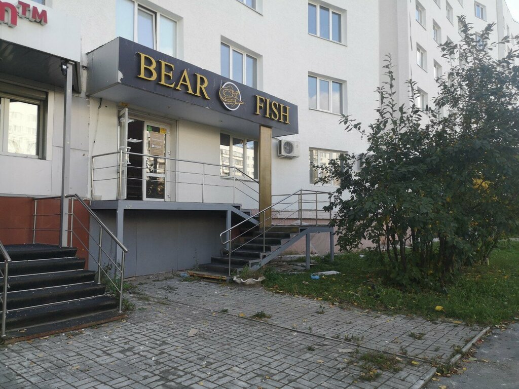 Bira dükkanı Bear Fish, Çeliabinsk, foto