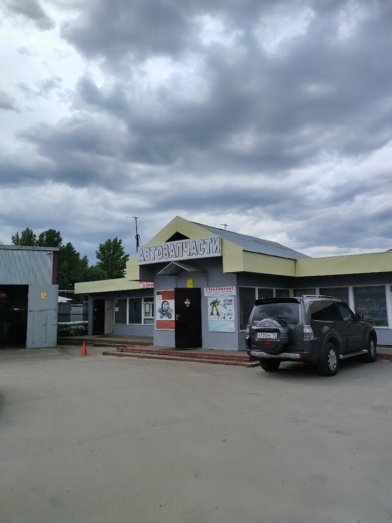 Otomobil yedek parçaları Zapchasti, Moskova ve Moskovskaya oblastı, foto