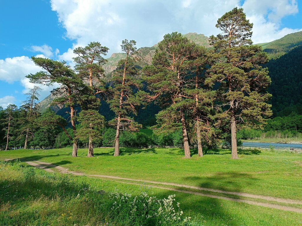 Tatil köyleri Горный клуб Эдельвейс, Karaçay‑Çerkez Cumhuriyeti, foto