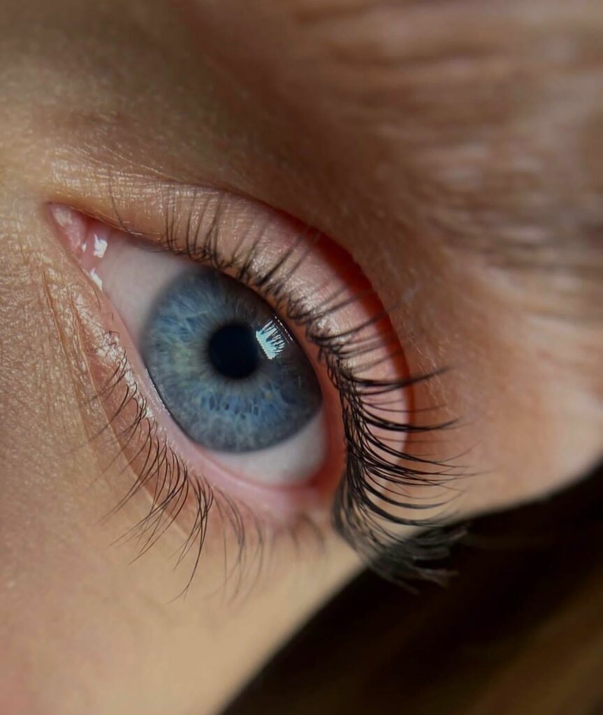 Kaş ve kirpik salonu Podra, Moskova, foto