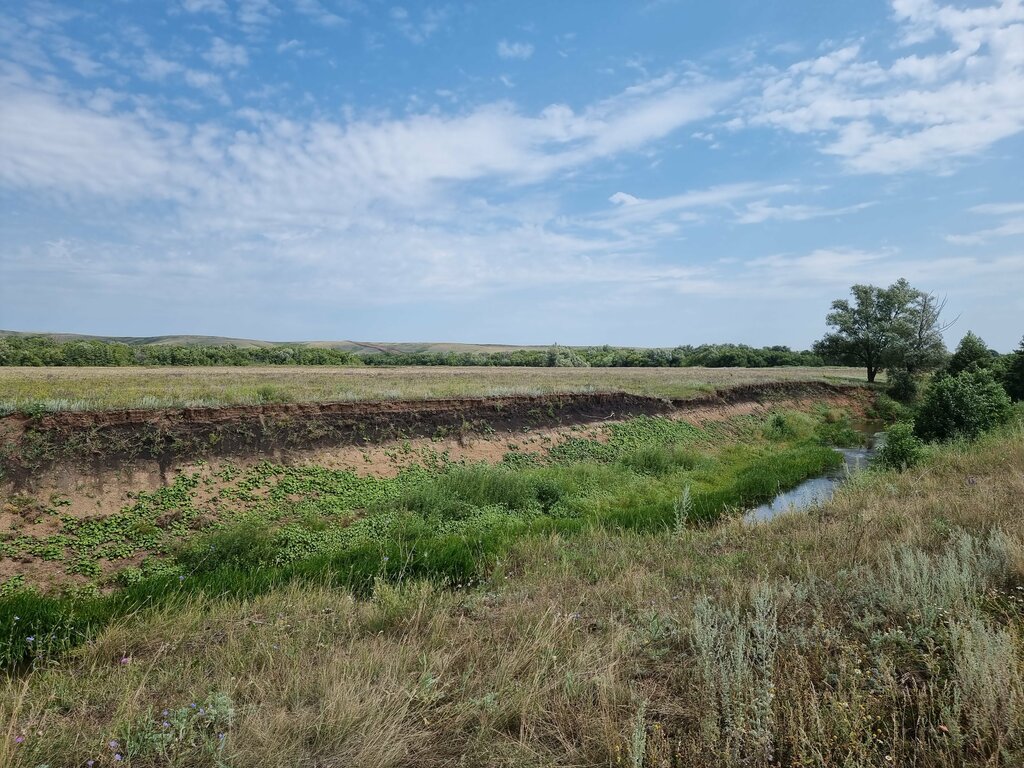 Plaj Пляж Белый берег, Orenburgskaya oblastı, foto