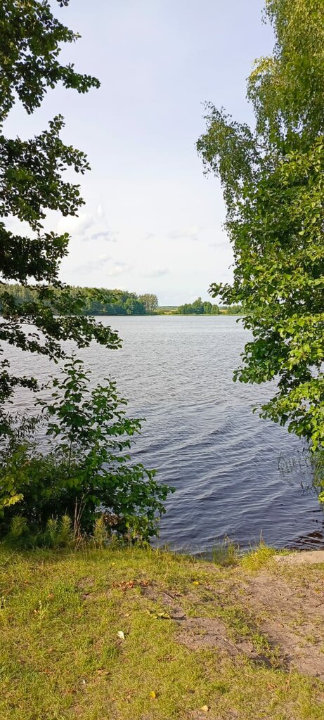 Plaj Пляж, Brianskaya oblastı, foto