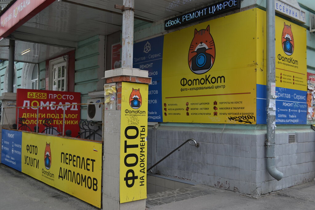Fotoğraf hizmetleri Fotokot, Riazan, foto
