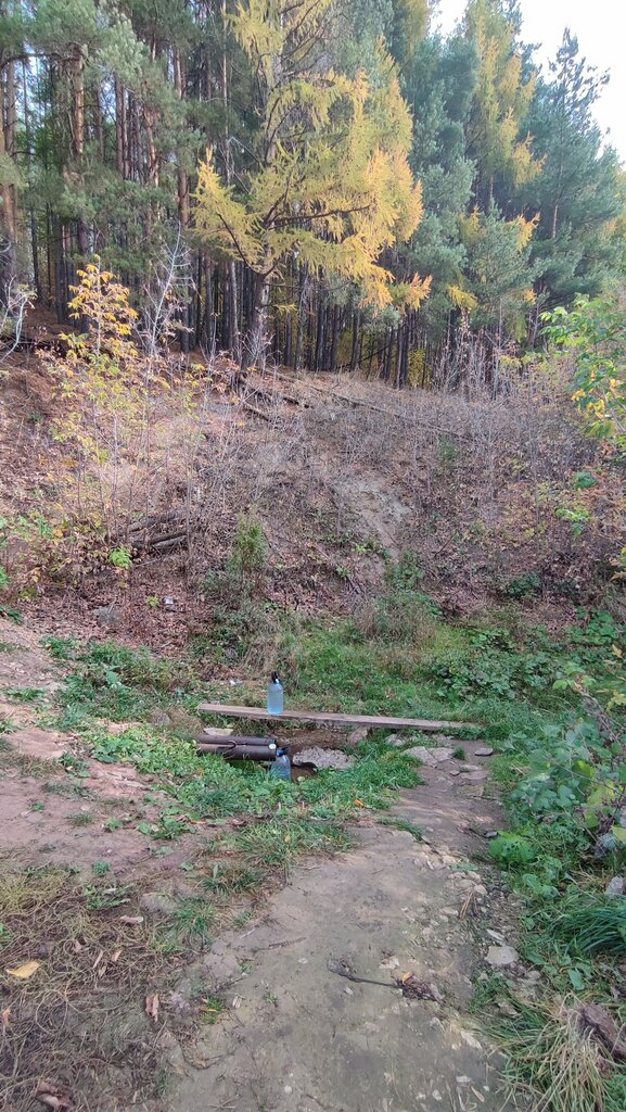 Pınar, çay Spring, stream, Tataristan, foto