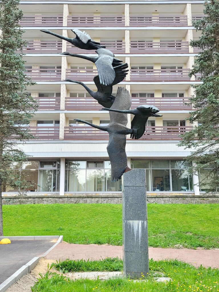 Park, sokak heykeli Лебеди на взлёте, Saint‑Petersburg, foto