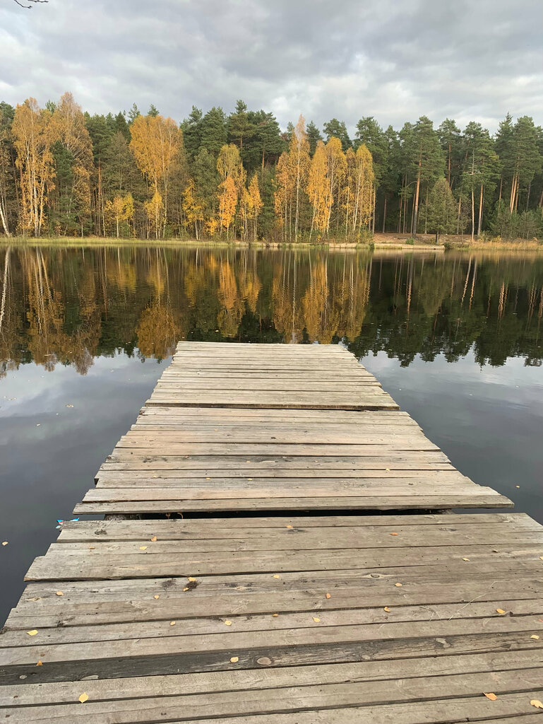 Kültür ocakları Дом культуры имени Чкалова В. П., Nijegorodskaya oblastı, foto