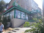 Daulet (Shoqan Ýálıhanov kóshesi No:219), eczaneler  Çimkent'ten (Şımkent'ten)