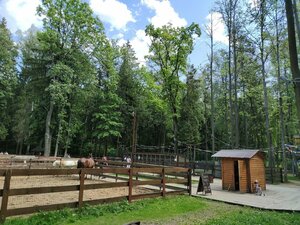 Pets friends (Moscow, Novomoskovskiy Administrative Okrug, Vnukovo District, kvartal № 47), hayvanat bahçeleri  Moskova'dan