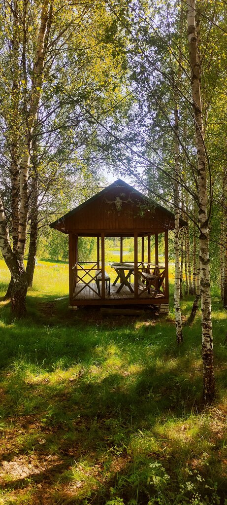 Resort oteller, tesisler База отдыха Барсуки Спасские, Smolenskaya oblastı, foto