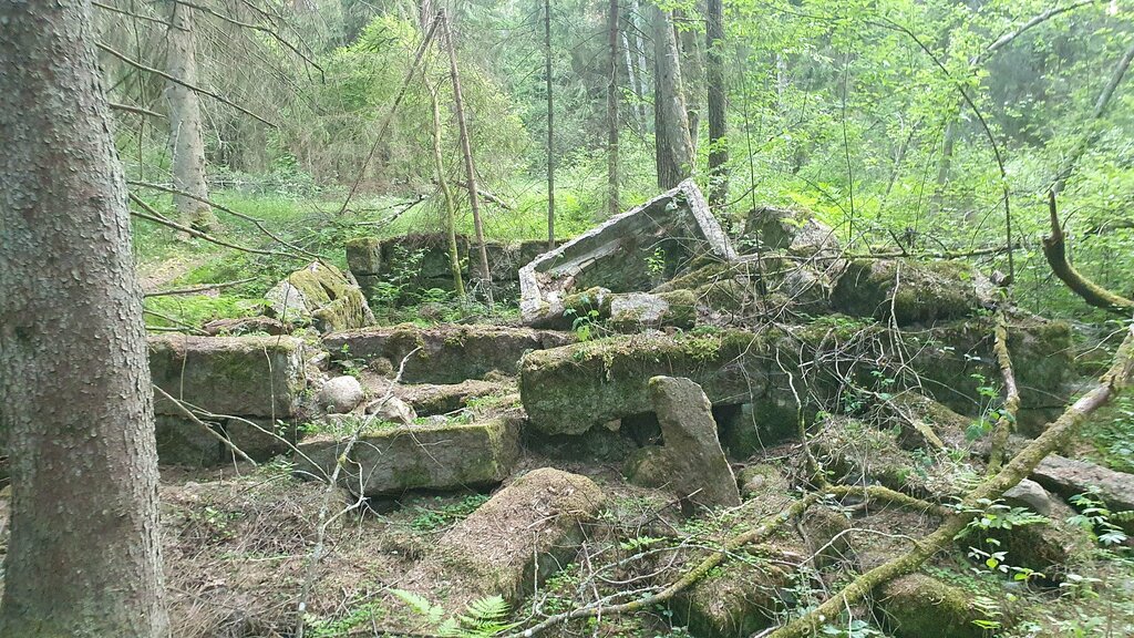 Turistik yerler Руины мельницы хутора Леппяниеми, Saint‑Petersburg ve Leningradskaya oblastı, foto