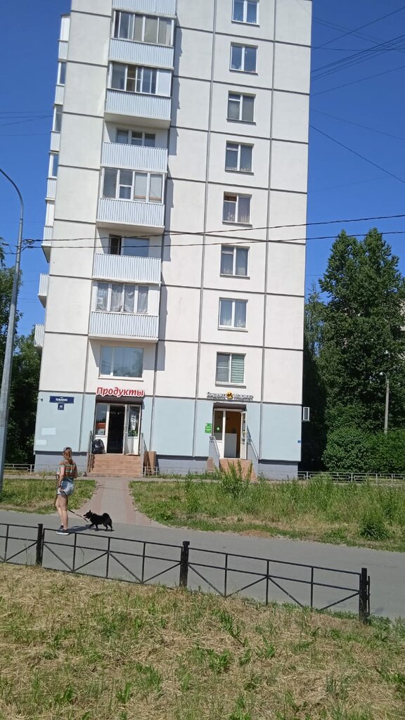 Kuru temizlemeciler Chistotronik, Saint‑Petersburg, foto