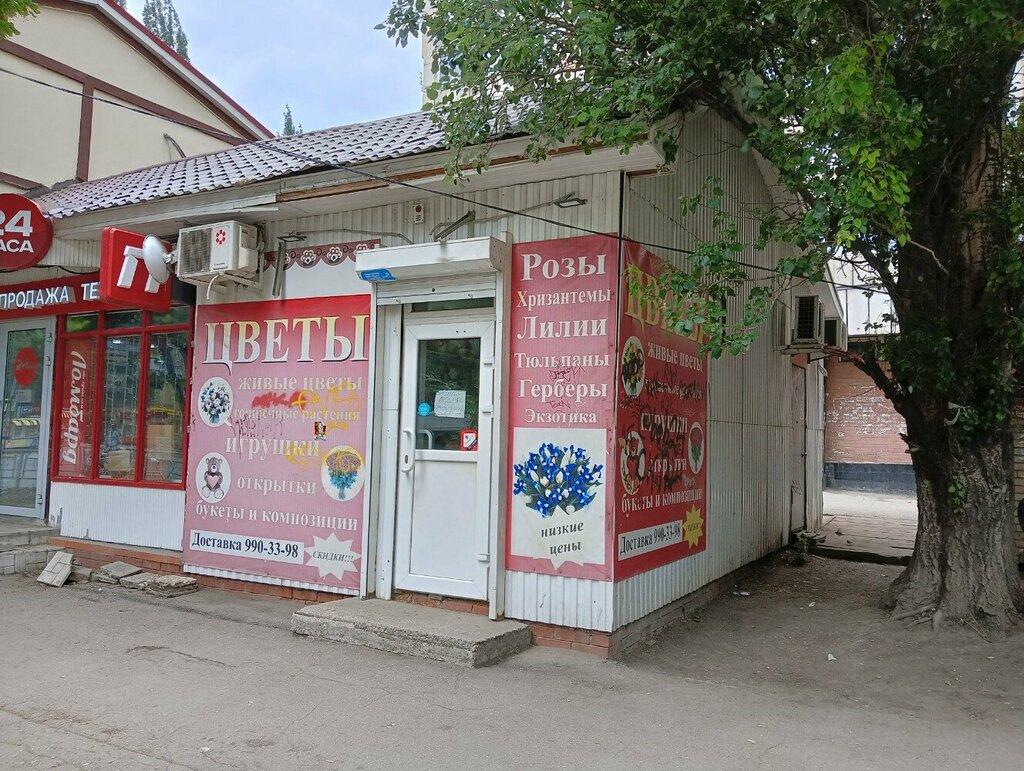 Çocuk oyunları ve oyuncakları Cvety, Samara, foto