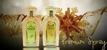 Oriental Oud (71, Al Khartoum Street, Mushraif, Dubai), kozmetik ve parfümeri mağazaları