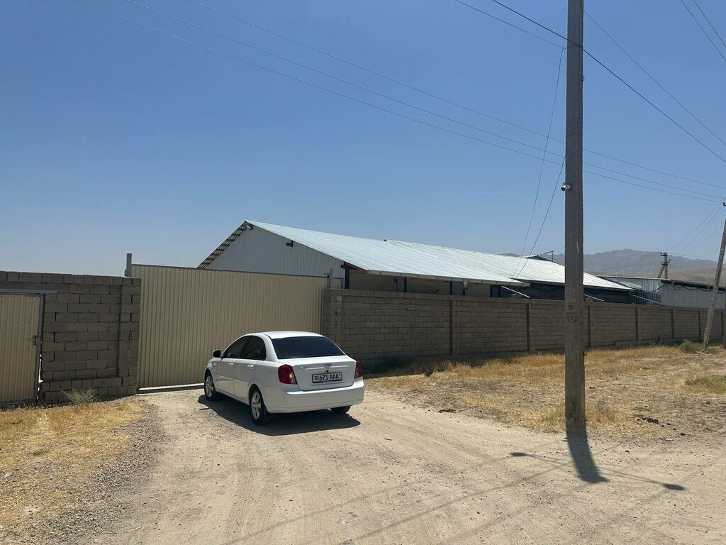 Toptan sebze ve meyve satışı Mironkul Plast, Semerkant eyaleti, foto