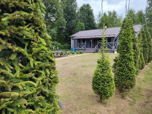 Skazkazdes (No:30, derevnya Kirillovo), otel  Pskovskaya oblastından