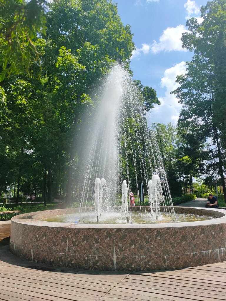 Atraksiyon Колесо обозрения, Novozybkov, foto