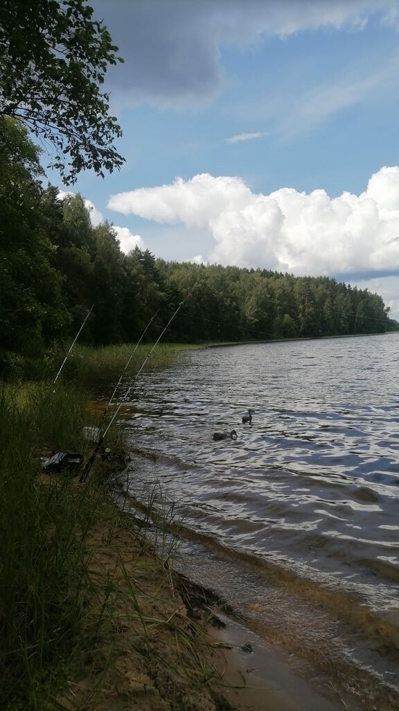 Plaj Пляж, Novgorodskaya oblastı, foto