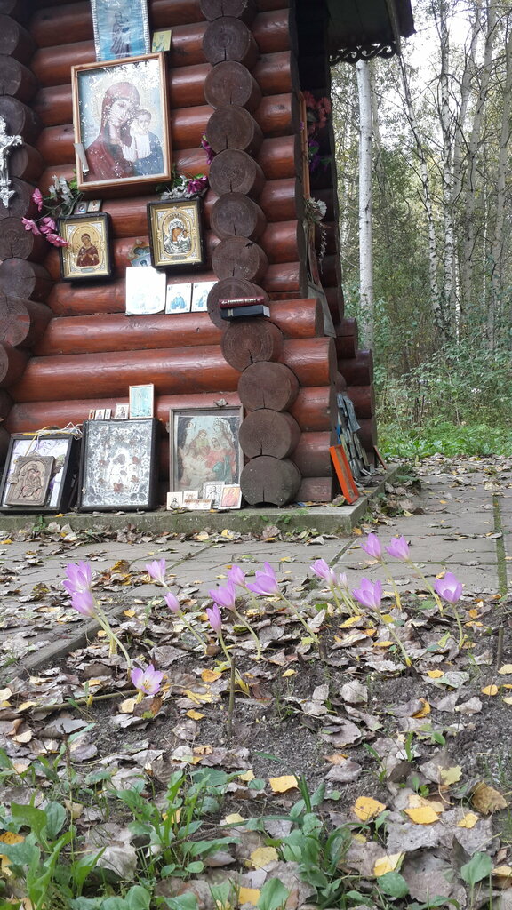 Şapel, haç anıtı Часовня, Moskova ve Moskovskaya oblastı, foto