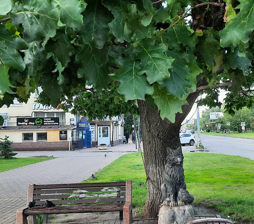 Park, sokak heykeli Кот учёный, Ramenskoye, foto