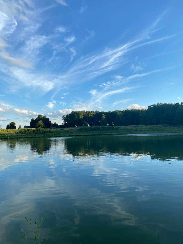 Balık çiftçiliği ve toptancıları Lovi tut, Tulskaya oblastı, foto