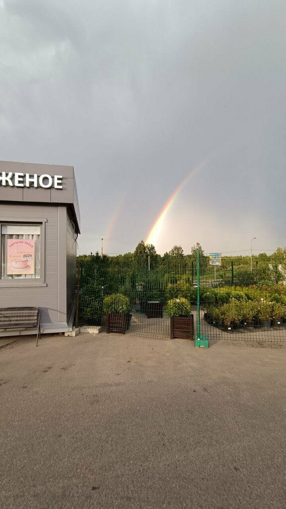Pasta, şekerleme ve tatlı Sweet Balls, Moskova ve Moskovskaya oblastı, foto