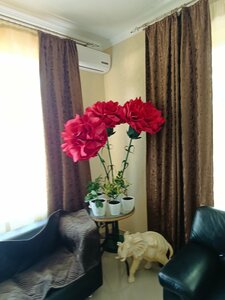 Aniksi (Raduzhnaya ulitsa No:15, selo Kabardinka), otel  Krasnodarski krayından
