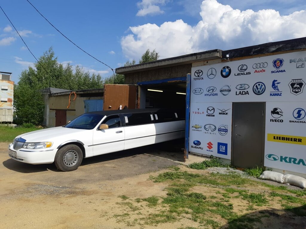 Otomobil yedek parçaları Max Auto, Kirovgrad, foto