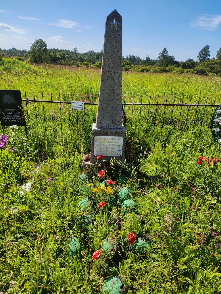 Anıt, heykel Обелиск 20, 30, 31 армиям Западного фронта, Smolenskaya oblastı, foto