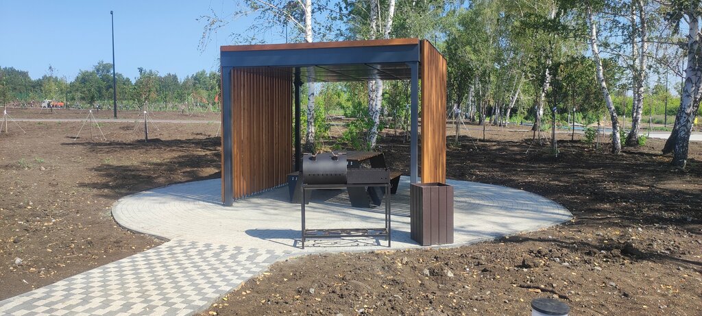 Piknik alanı Пикниковая зона У холма, Magnitogorsk, foto