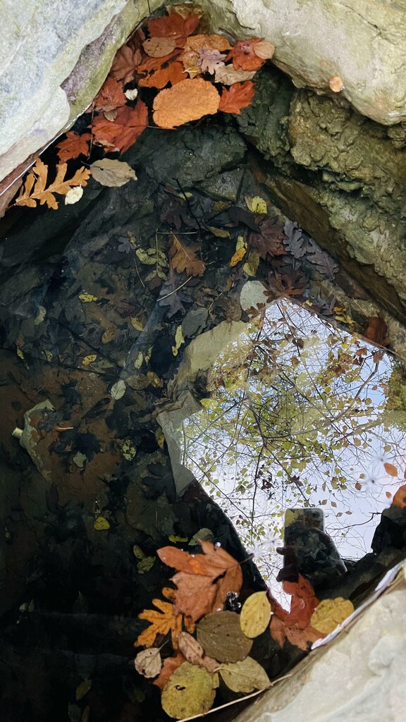 Pınar, çay Spring, stream, Krasnodarski krayı, foto