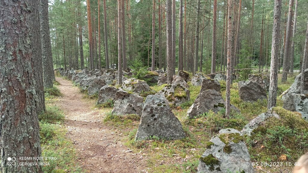 Turistik yerler ДОТ Hu-2 линии Маннергейма, Saint‑Petersburg ve Leningradskaya oblastı, foto