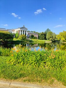 Смотровая площадка (Moscow, Tsitsin Main Botanical Garden of the Russian Academy of Sciences), seyir terası  Moskova'dan