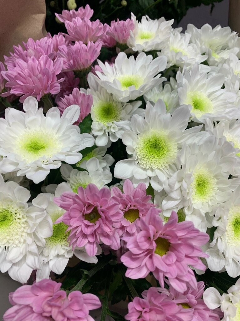 Çiçekçiler Veresk, Gornozavodsk, foto