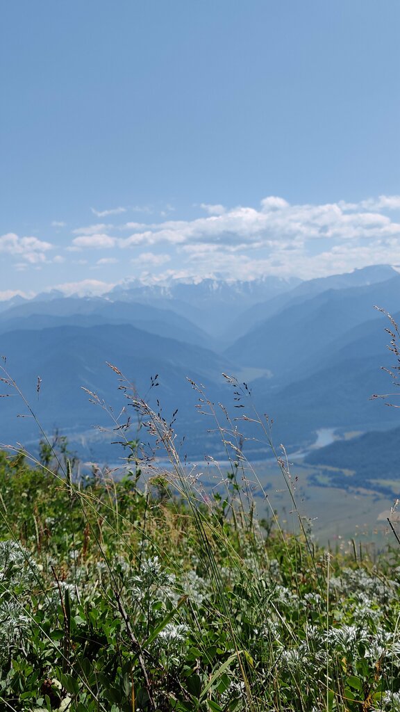 Dağ zirvesi гора Кызыл, Altay Cumhuriyeti, foto