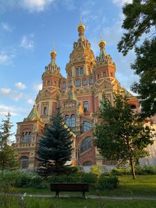 Cathedral of the Apostles Peter and Paul (St. Petersburg Avenue No:32), ortodoks kiliseleri  Peterhof'tan