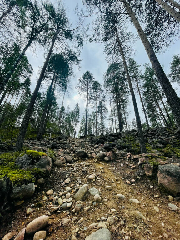 Dağ zirvesi Гора 101 метр, Karelya, foto