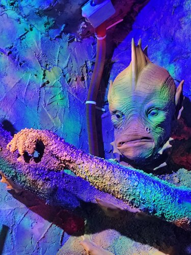Müzeler ve sanat galerileri Alien Museum, Domodedovo, foto