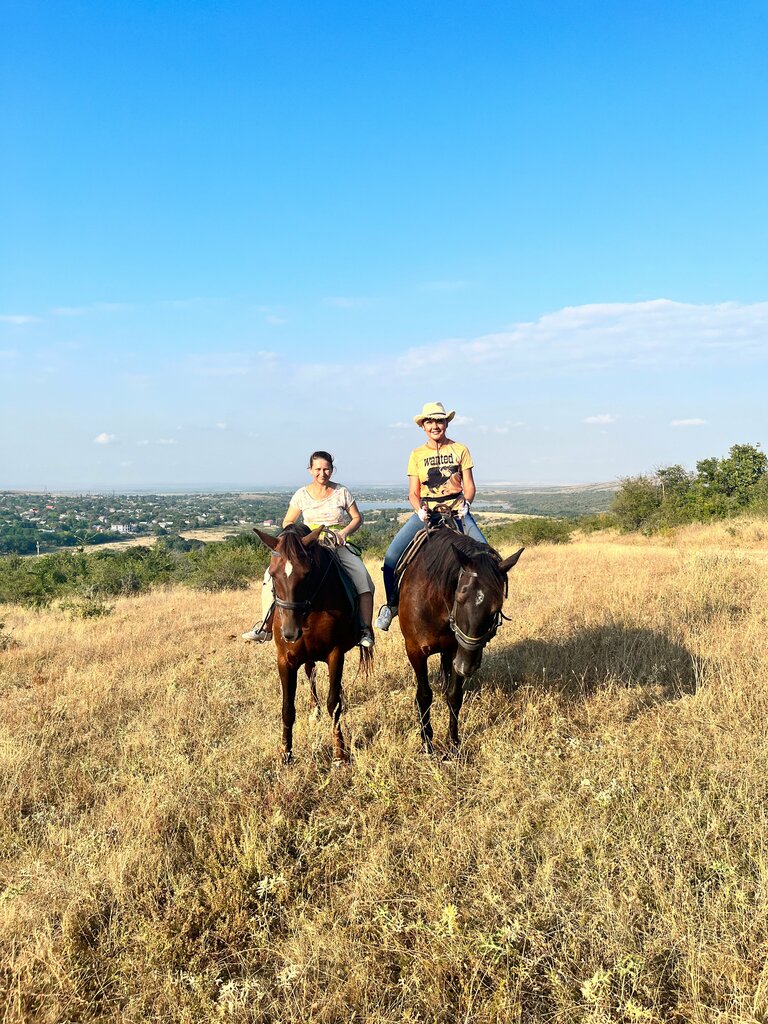 At ve binicilik kulüpleri ChP Korotky, Stary Krym (Eski Kırım), foto