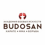Budosan (ulitsa Speranskogo No:19), spor kulüpleri  Vladimir'den