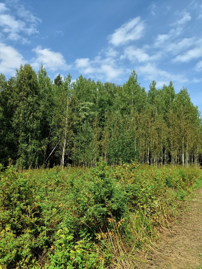 Seyir terası Поляна воздухоплавателей или Валентина Ефремова, Permski krayı, foto