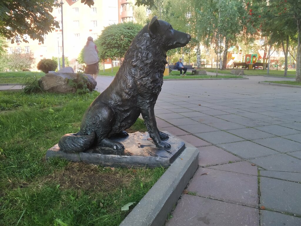 Anıt, heykel Собака Муха, Zelenograd, foto