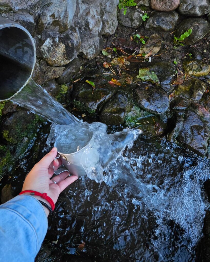 Pınar, çay Святой источник, Tverskaya oblastı, foto