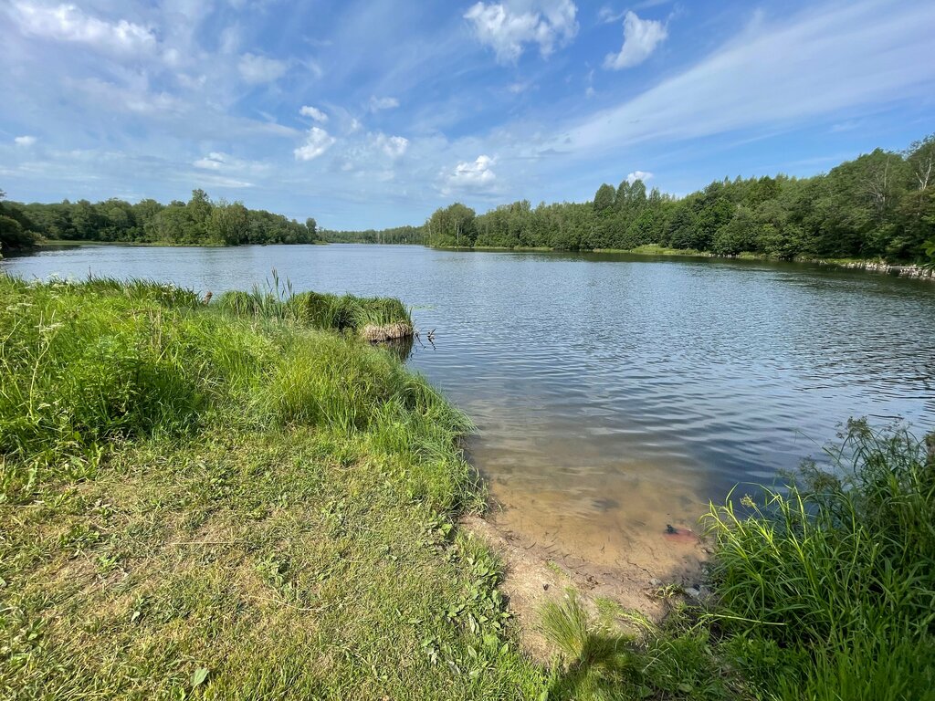 Plaj Пляж, Smolenskaya oblastı, foto